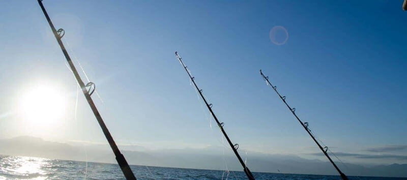 Puerto Vallarta: Shared Fishing - The Itinerary: What to Expect