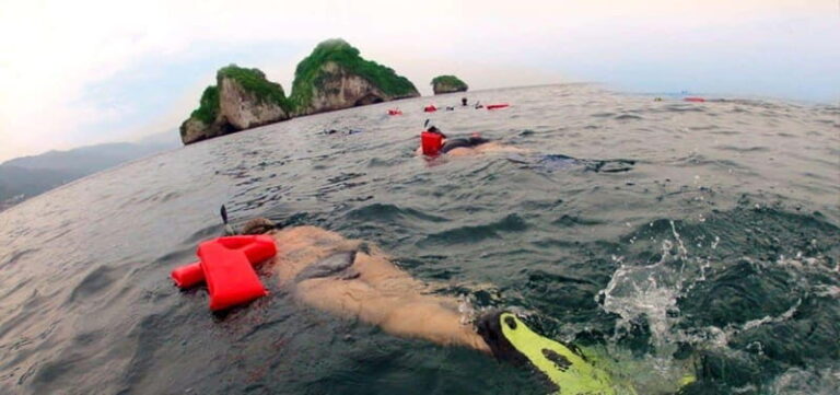 Puerto Vallarta: Snorkel Adventure at Los Arcos - Wrapping It Up — Is It Worth It?