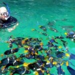 Puerto Vallarta Snorkeling at Arcos and Animas or Quimixto - What’s Included and What’s Not