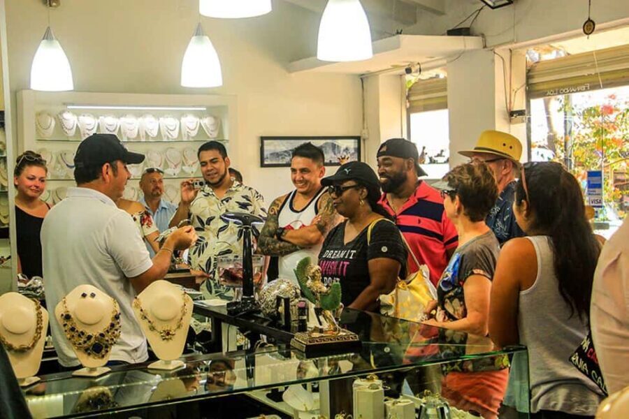 Puerto Vallarta: Tropical City & Zipline Adventure - Practicalities and Considerations