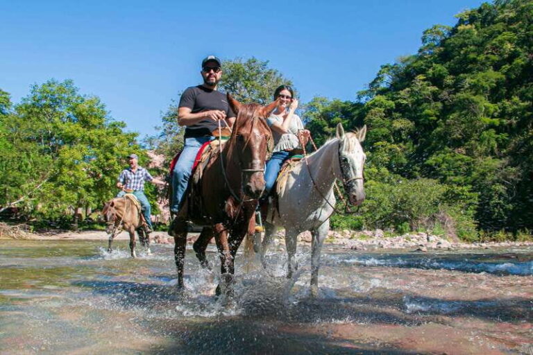 Puerto Vallarta: Tropical Forest Horseback Riding Adventure - Who Will Love This Tour?