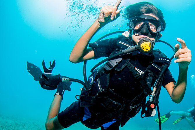 Puerto Vallarta Undersea Private Scuba Diving - What Sets This Tour Apart?