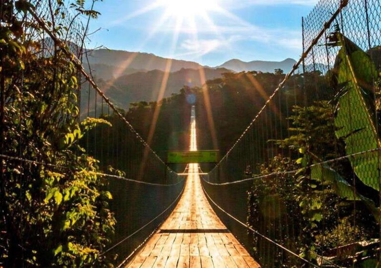 Puerto Vallarta: ZipLine + Jorullo Bridge Pass + Mule Ride - Practical Details & What to Expect