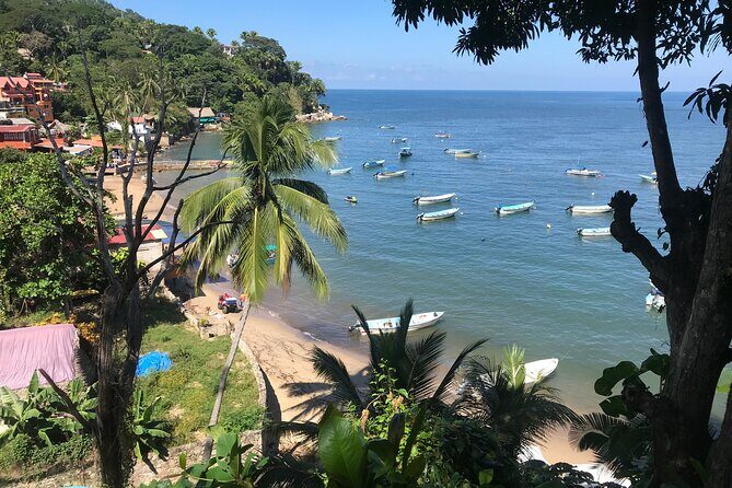 Puerto Vallarta's Yelapa Boat & Walking Tour with Tequila Tasting - Practical Details and Tips for Your Trip