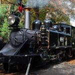 Puffing Billy And Healesville Sanctuary Scenic Tour - The Experience from a Reviewers Perspective