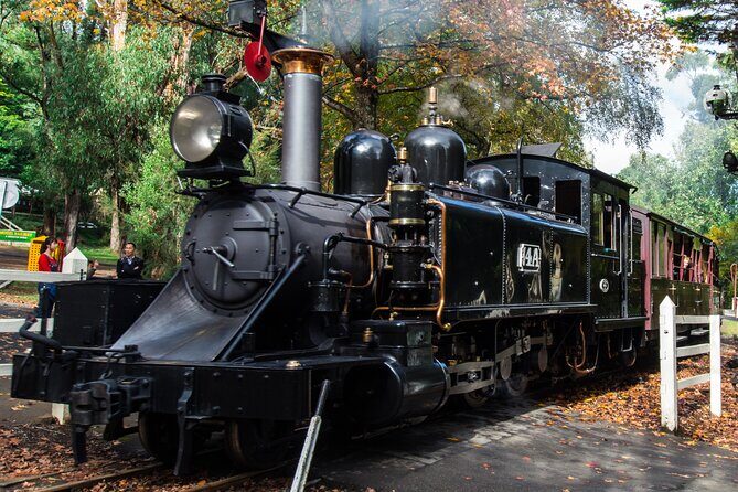 Puffing Billy And Healesville Sanctuary Scenic Tour - The Experience from a Reviewers Perspective