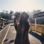 Puffing Billy Steam Train and Penguins Wildlife Tour - The Practical Details