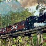 Puffing Billy Tour and Penguin Parade from Melbourne - Transportation, Group Size, and Value