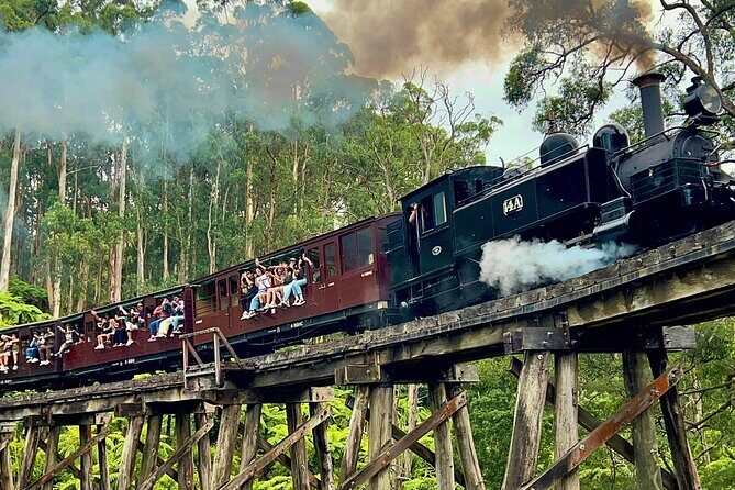 Puffing Billy Tour and Penguin Parade from Melbourne - Transportation, Group Size, and Value