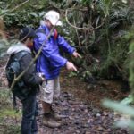 Puketi Rainforest Guided Walks .This is not a Shore Excursion product . - Who Should Book This Experience?