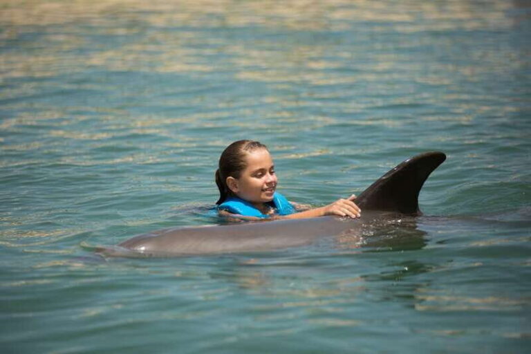 Punta Cancun: Swim with dolphins Harmony - Who Is This Tour Best For?