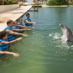 Punta Cancun: Swim with dolphins Interax - What Makes This Tour Stand Out
