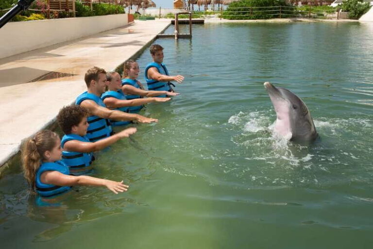 Punta Cancun: Swim with dolphins Interax - What Makes This Tour Stand Out