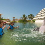 Punta Cancun: Swim with dolphins Primax - The Value of This Experience