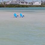 Punta Gorda/Boca Grande: Sandbar Cruise with Captain - Why This Tour Offers Great Value