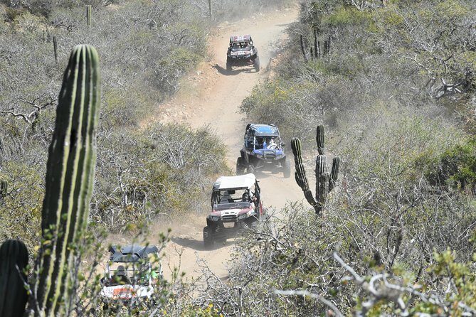 Quads Off Road RZR Wild Baja West! - The Experience of Off-Roading in Baja