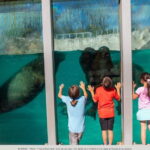 Quebec: Aquarium du Quebec Entry Ticket - Practical Tips for Visiting