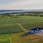 Quebec City - E-Tandem Rental on Ile d'Orléans - The Journey and Its Highlights