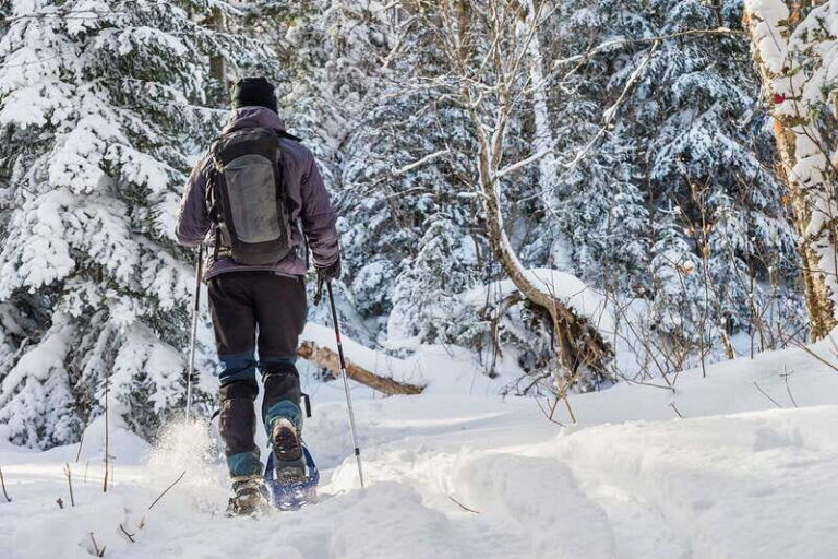 Quebec City: Jacques-Cartier National Park Snowshoeing Tour - What’s Included and What to Expect