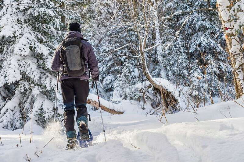 Quebec City: Jacques-Cartier National Park Snowshoeing Tour - What’s Included and What to Expect