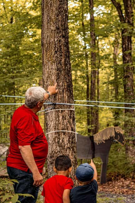 Quebec City (Lévis): self-guided sugar shack tour + meal + maple taffy - Value and Practical Tips