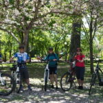 Quebec City : Private Electric Bike Tour - Evaluating the Price and Overall Value