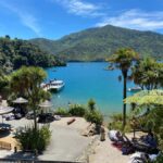 Queen Charlotte Sound: Lochmara Cruise and Explore 9-4 - The Scenic Boat Ride