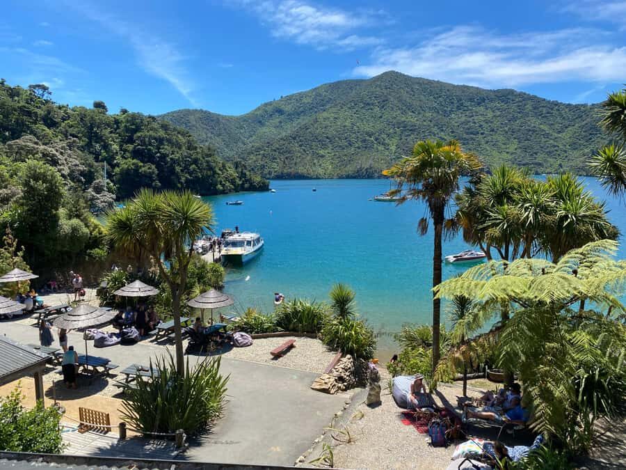 Queen Charlotte Sound: Lochmara Cruise & Explore 9-2.45 - Who Will Love This Tour?