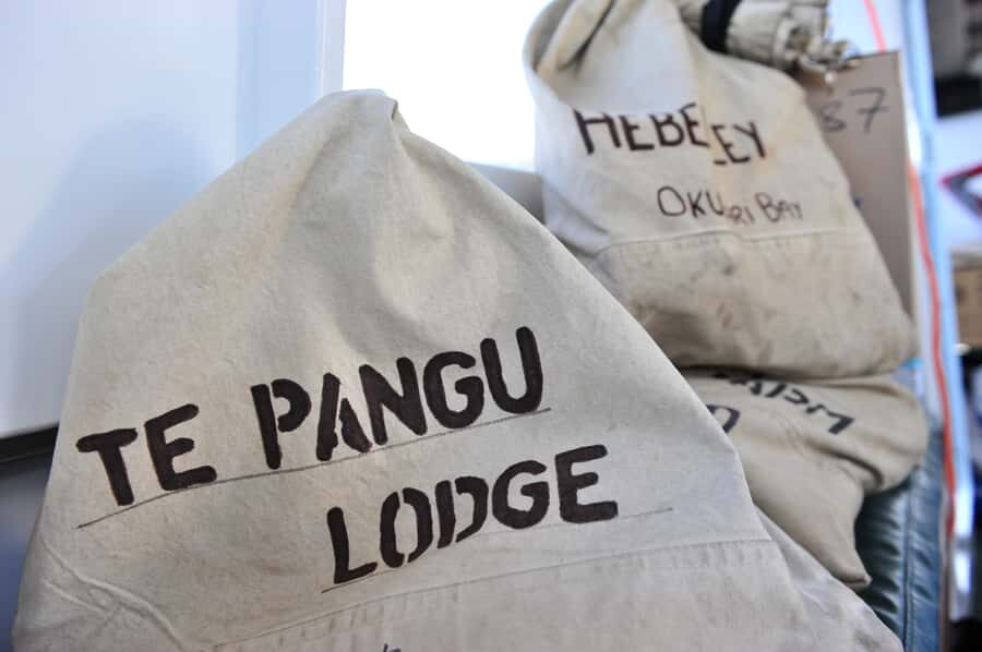 Queen Charlotte Sound Mail Boat Cruise from Picton - Who Is This Tour Best For?