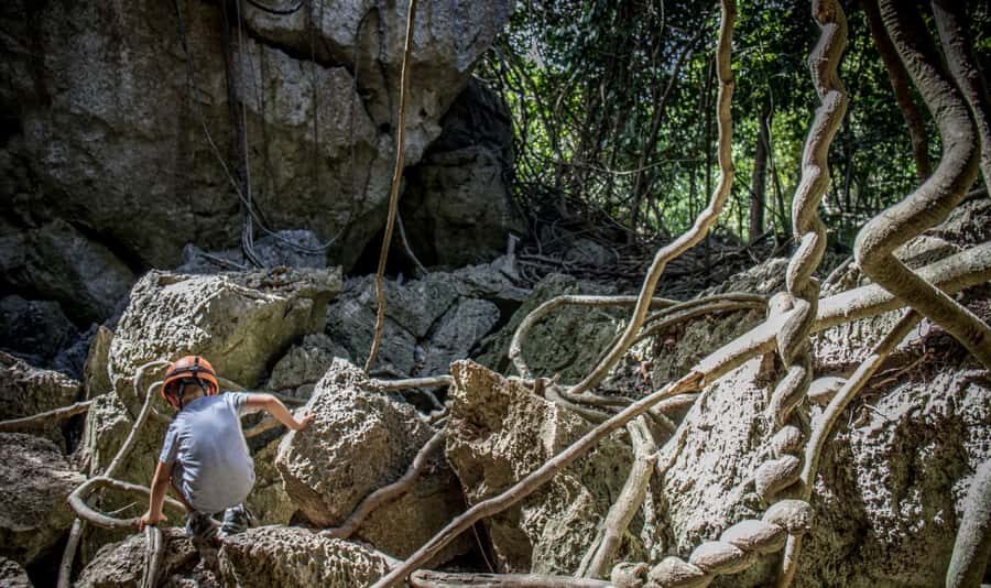 Queensland: 90 Minute Capricorn Caves Explorer Tour - Discovering the Capricorn Caves: An Authentic Underground Adventure