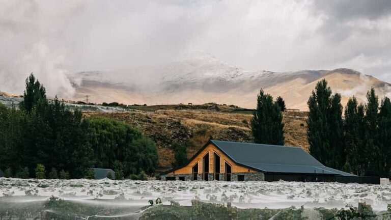 Queenstown: Classic Central Otago Wine Tasting Experience - Authentic Feedback from Visitors