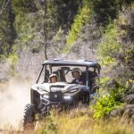 Queenstown Guided Self-Drive Buggy Tour - FAQs