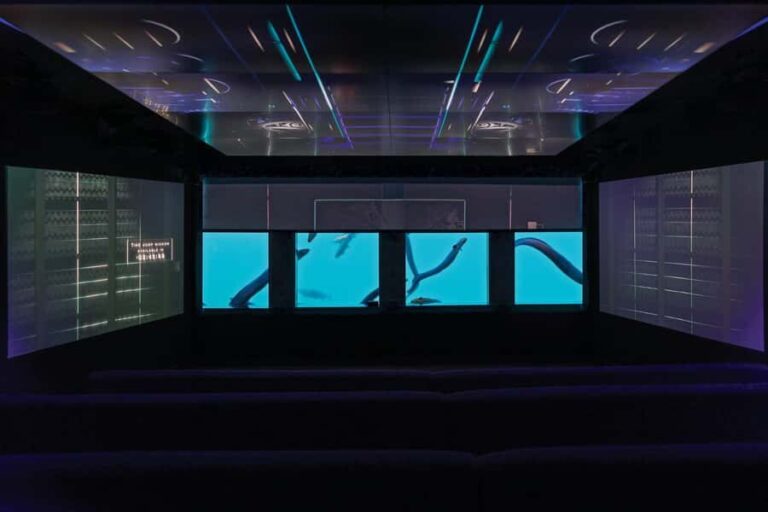 Queenstown: Hidden Underwater Theatre Experience - Who Should Consider This Tour?