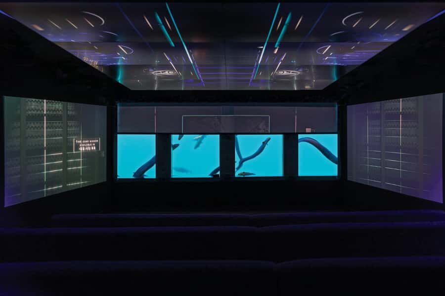 Queenstown: Hidden Underwater Theatre Experience - Who Should Consider This Tour?