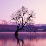 Queenstown: Private Day Trip to Wanaka, Arrowtown & More - Why This Tour Offers Great Value