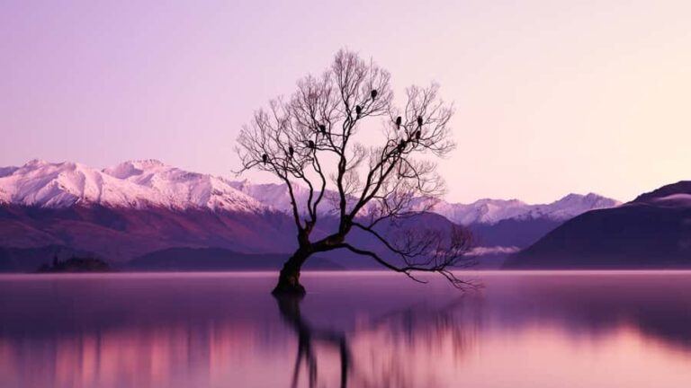 Queenstown: Private Day Trip to Wanaka, Arrowtown & More - Why This Tour Offers Great Value