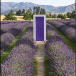 Queenstown: Wanaka & Arrowtown Guided Private Day Tour - What Makes This Tour Stand Out