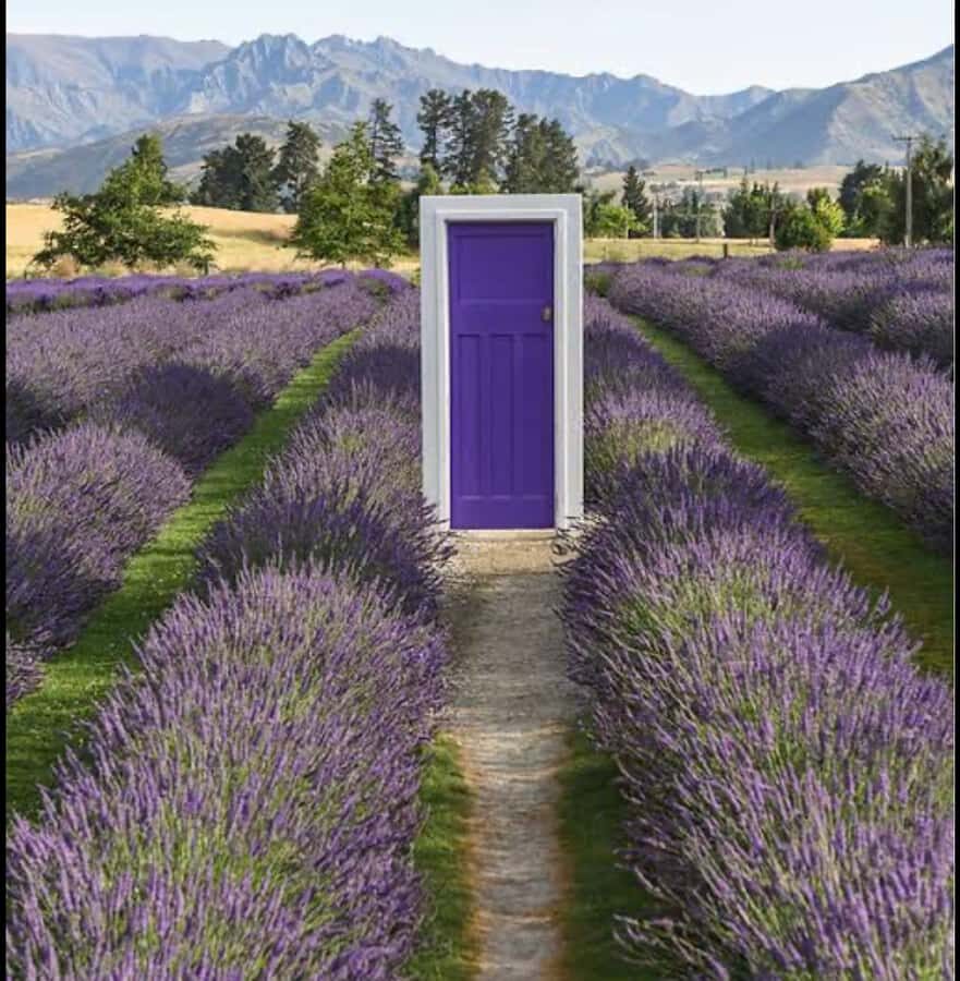 Queenstown: Wanaka & Arrowtown Guided Private Day Tour - What Makes This Tour Stand Out