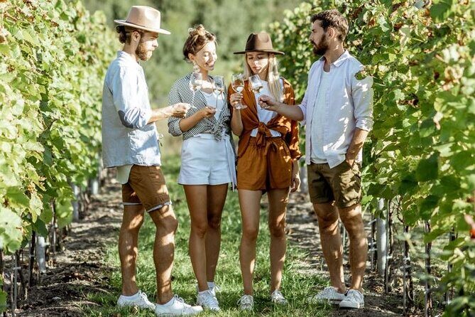 Queenstown Wine Tour - Gibbston Valley Cave | Kinross | Amisfield - Price and Value Consideration