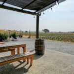 Querétaro: Bernal & Tequisquiapan Trip with Wine & Cheese - The Value of the Tour