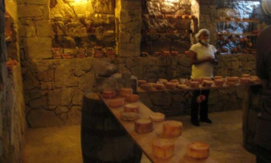 Querétaro: Cheese and Wine Tasting Tour - Exploring the Itinerary: What to Expect