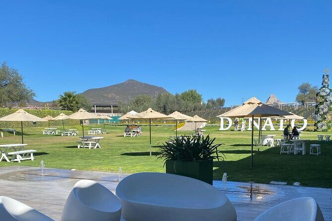 Queretaro Wine Experience - Final Thoughts