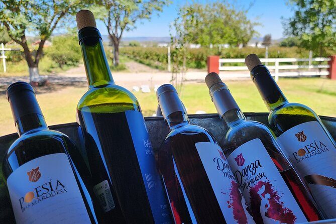 Queretaro Wine Route and Magic Towns - Who Should Consider This Tour?