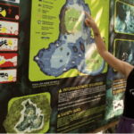 Quintana Roo: Cenote Dive - Who Will Love This Experience?