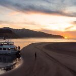 Raglan: Scenic Harbour Sunset Cruise - An Authentic Scenic Experience on the Water
