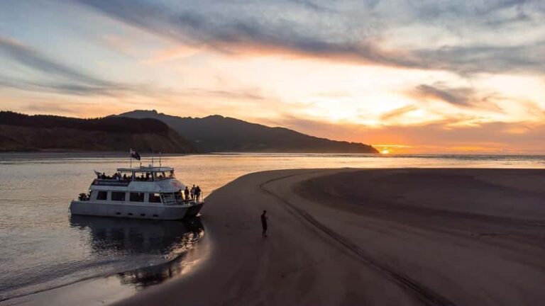 Raglan: Scenic Harbour Sunset Cruise - An Authentic Scenic Experience on the Water