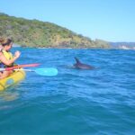 Rainbow Beach: Kayaking with Dolphins and Beach 4WD Tour - The Value and Overall Experience