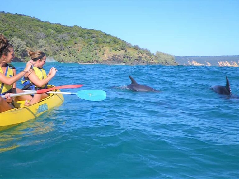 Rainbow Beach: Kayaking with Dolphins and Beach 4WD Tour - The Value and Overall Experience