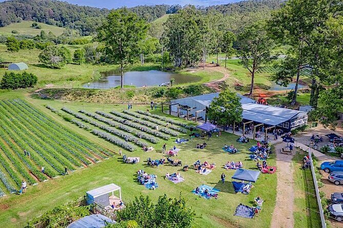 Rainbow Beach Private Tour with Lunch, Carlo Sandblow & Cooloola - Practical Details and What You Should Know