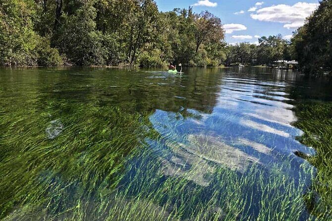 Rainbow River: 8AM & 3PM Snorkel or Scenic Wildlife Cruise - Who Should Book This Tour?